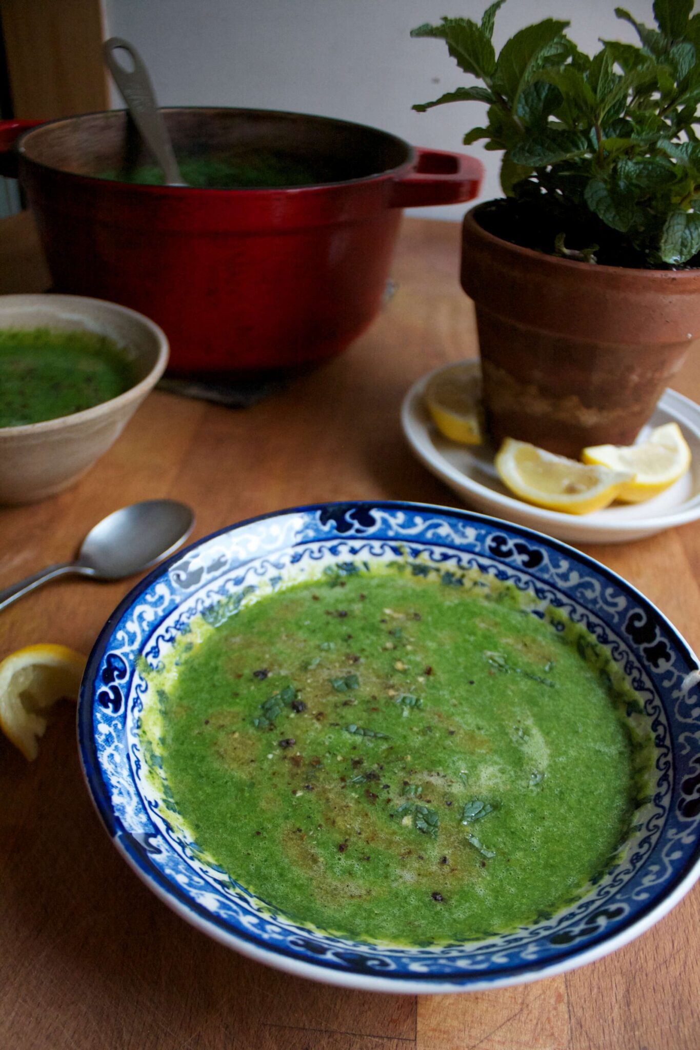 35 Best Spring Soup Recipe Ideas