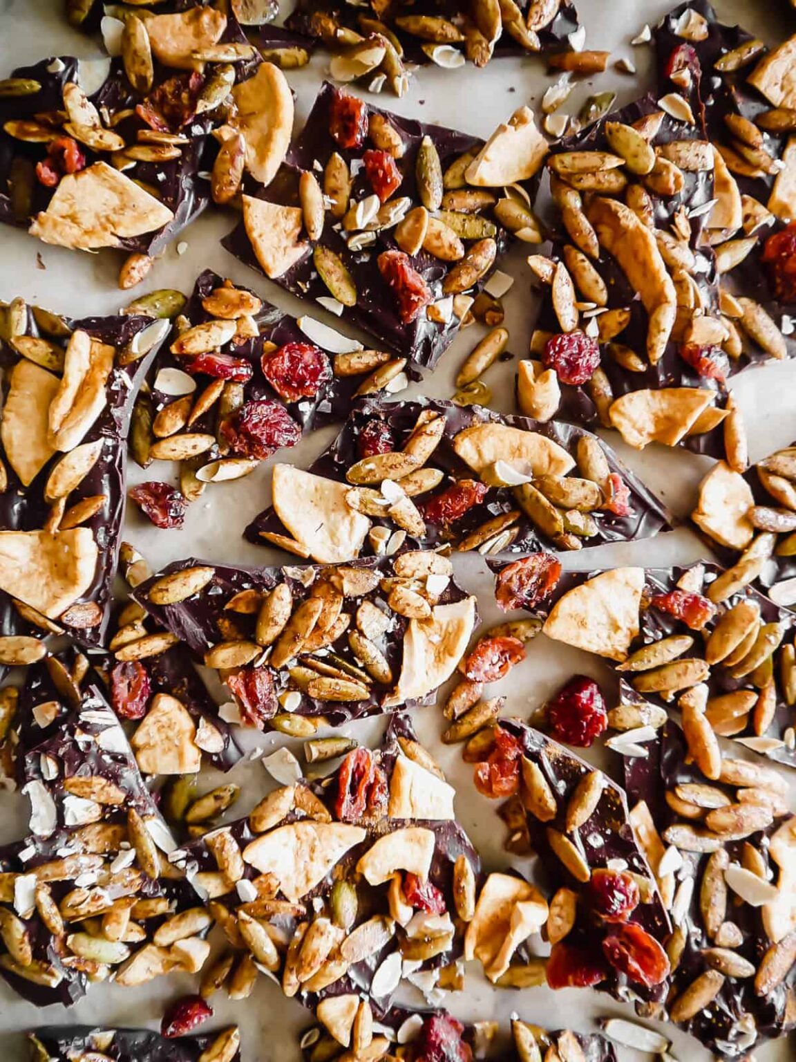 35 Best Fall Bark Ideas