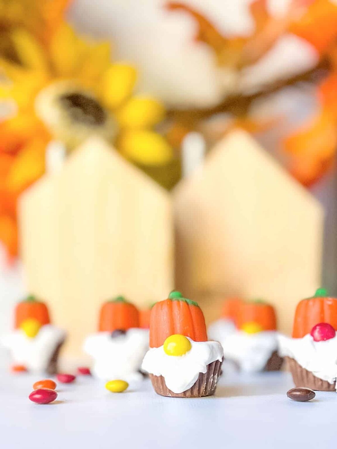 32 Best Fall Candy Ideas