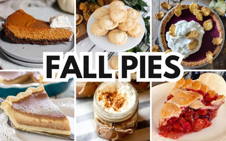 35 Best Fall Pie Ideas